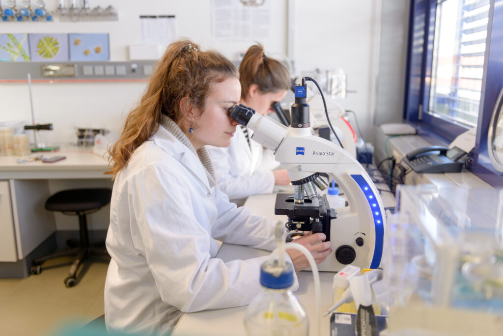 Abgase für die Algenzucht nutzen – WIBB | Das Magazin der Handelskammer ...